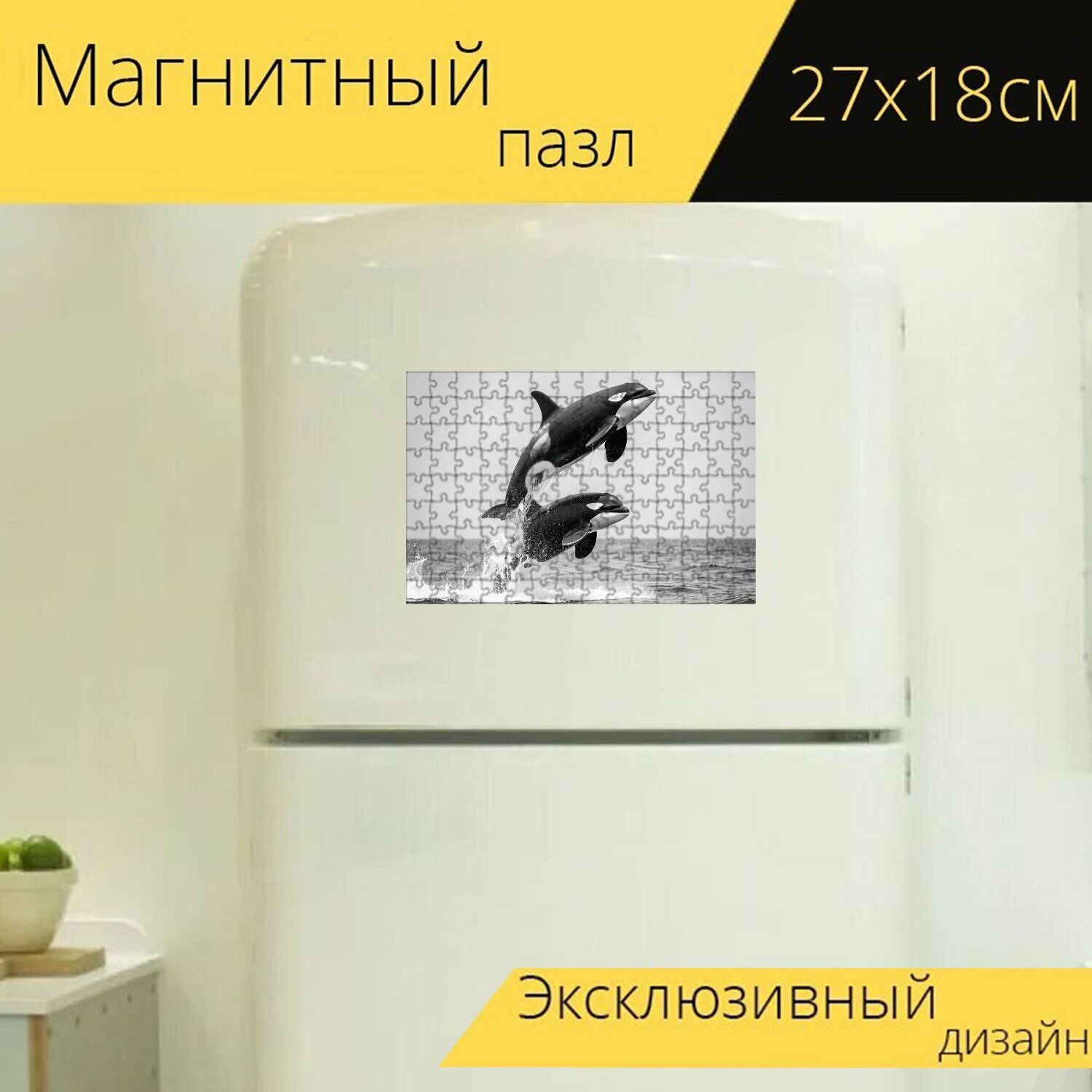 Магнитный пазл "Косатки над океаном. Черно-белая морская сцена: пара касаток выпрыгивает из воды среди брызг на фоне спокойного горизонта. Дикая природа." на холодильник 27 x 18 см.