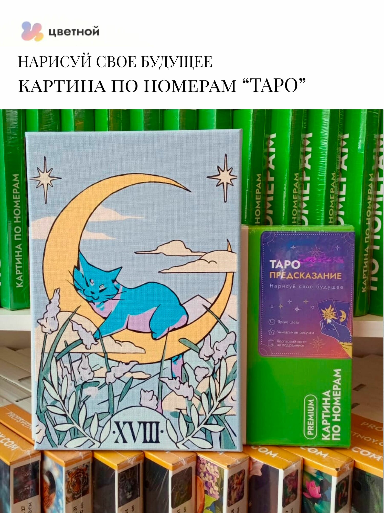 Картина по номерам карты таро Коты