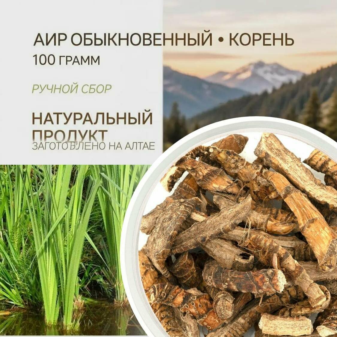 Аир обыкновенный (болотный) корень резанный крупно, АлтайМир, 100 г