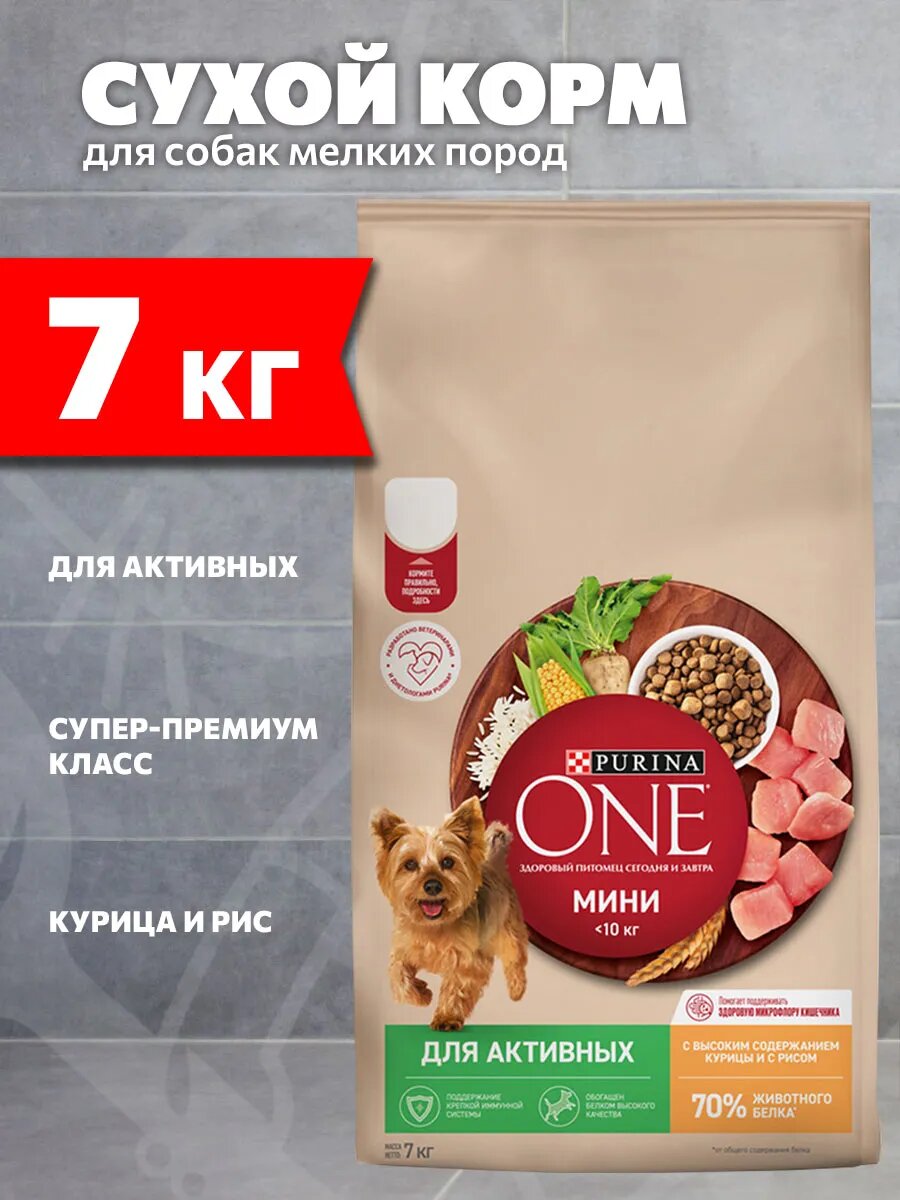 Корм сухой Purina One Мини для взрослых собак мелких и карликовых пород при активном образе жизни, курица и рис, 7 кг
