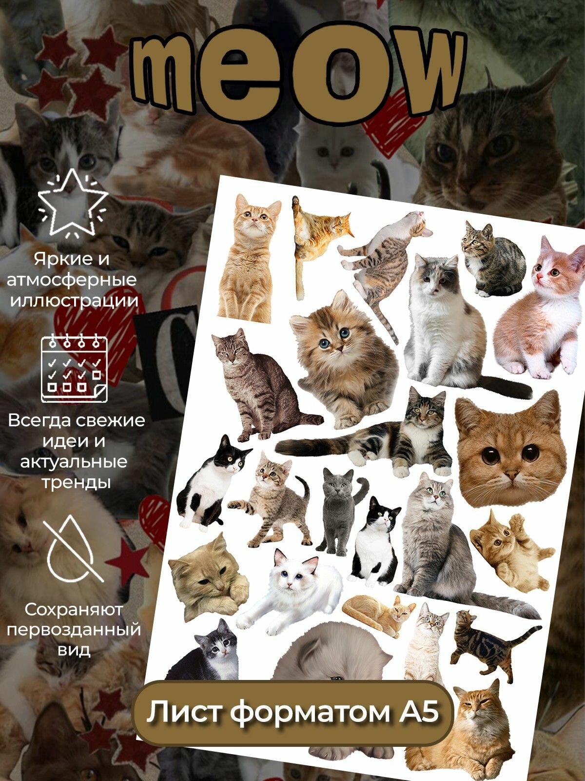 Наклейки Котики (Cats)