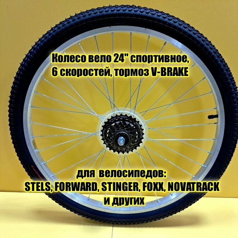 Колесо заднее спортивное 24"(507-47/57) 6 скоростей STELS/STINGER/FORWARD