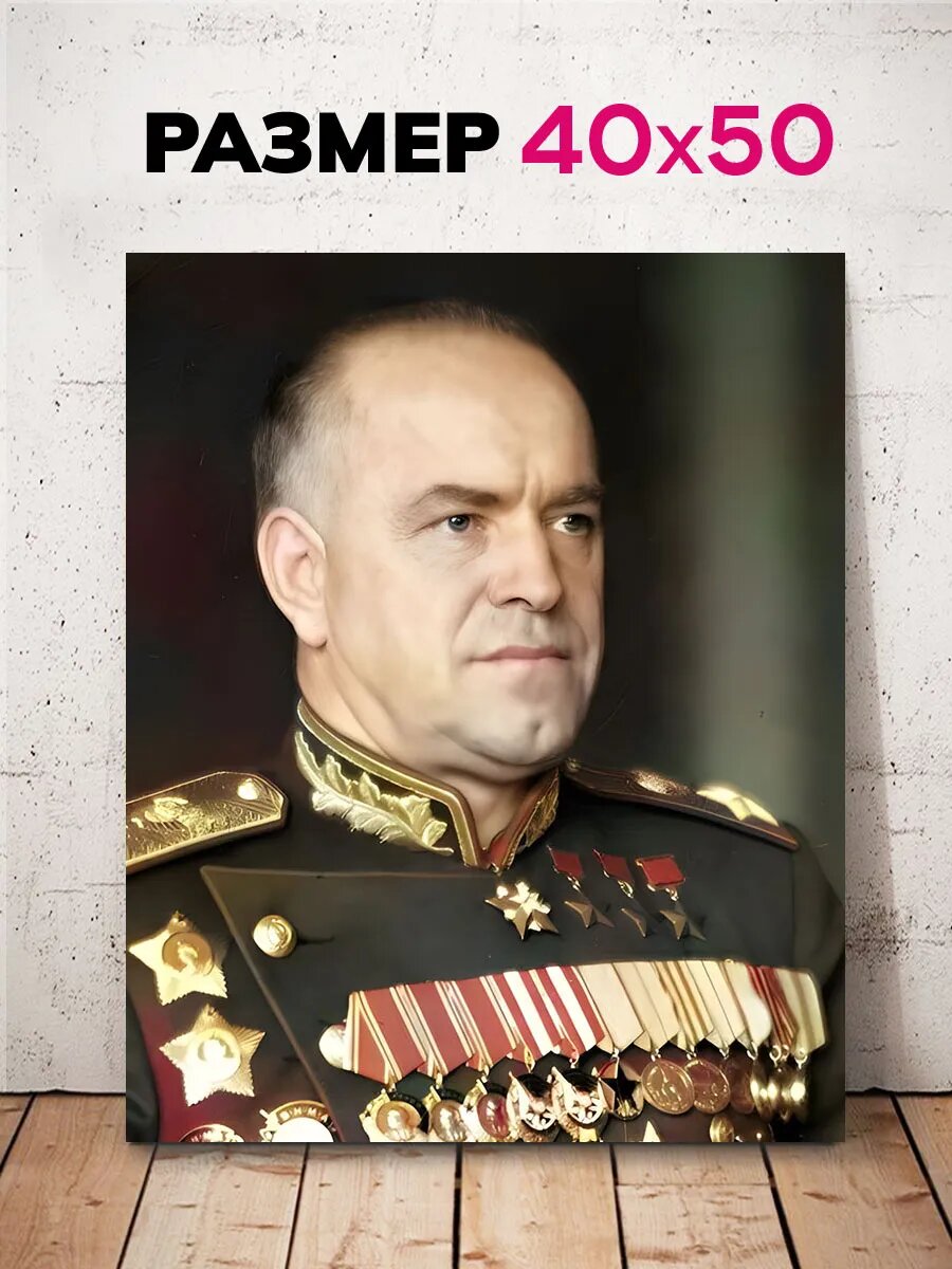 Картина интерьерная на холсте для дома Георгий Жуков 40х50 см
