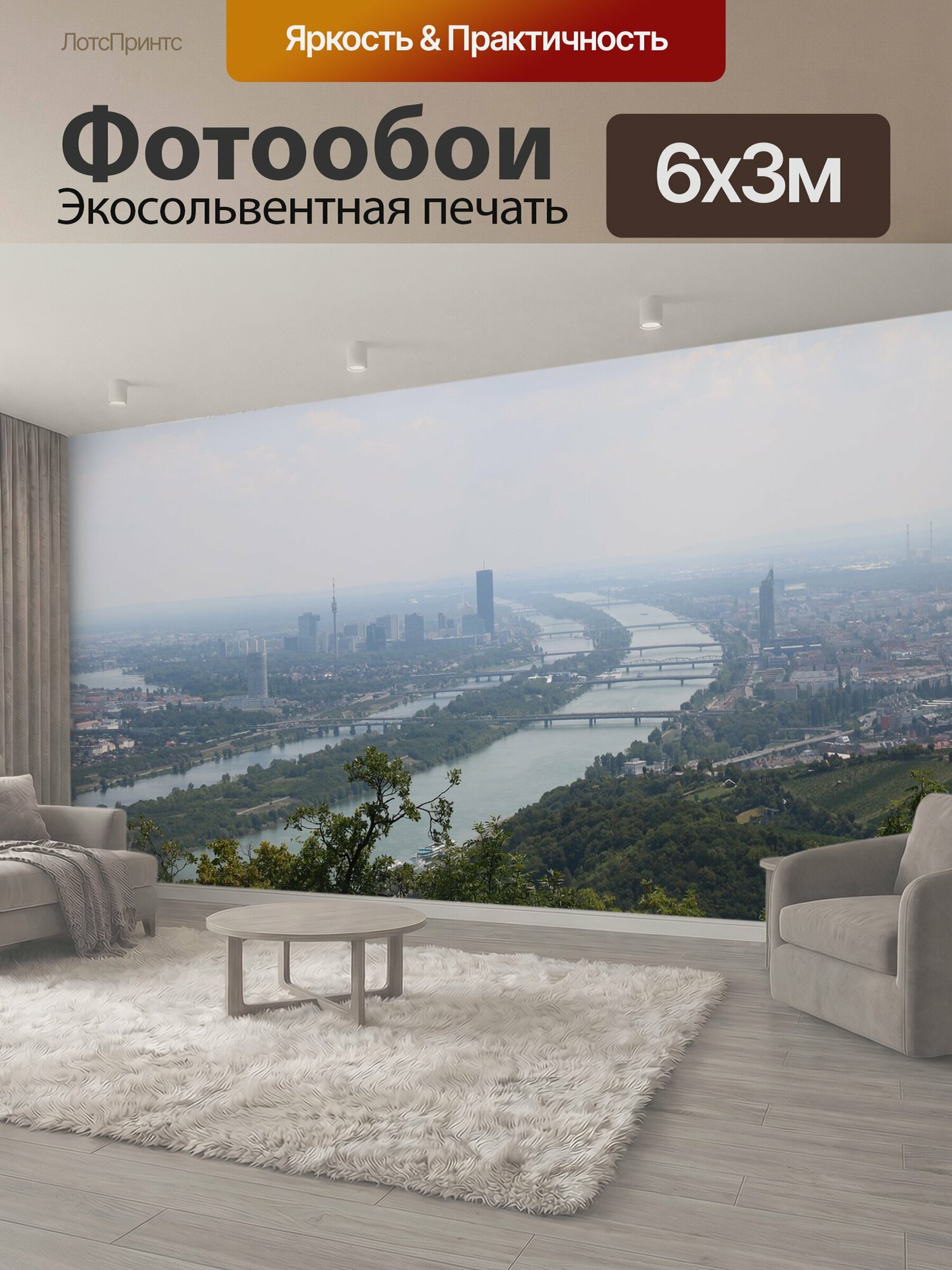 Фотообои "Вена, дунай, австрия" 600x300 см. экосольвентная печать
