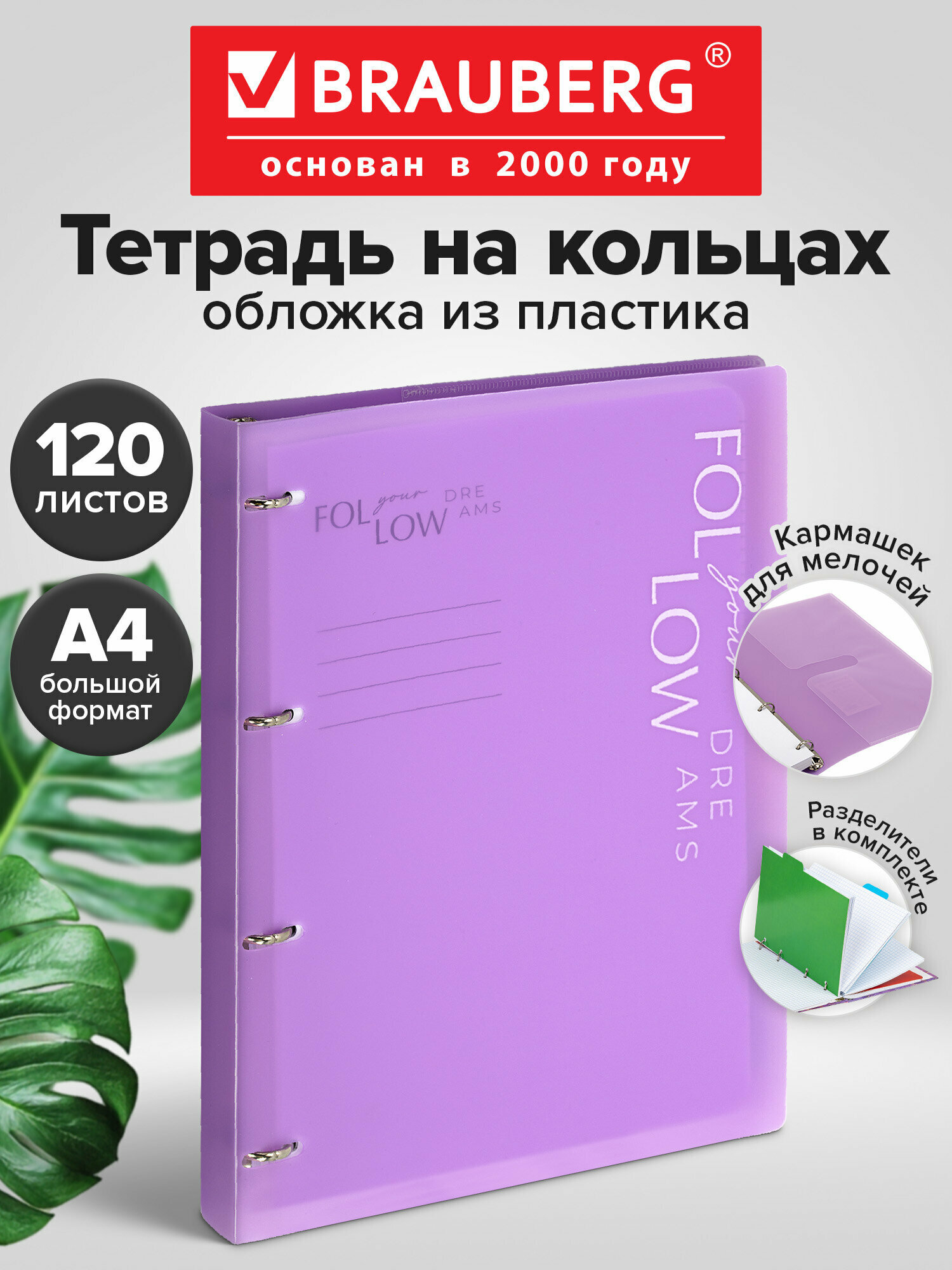 Тетрадь на кольцах А4 в клетку со сменным блоком 305х235 мм 120 листов, обложка пластик, разделители, Brauberg, 405256