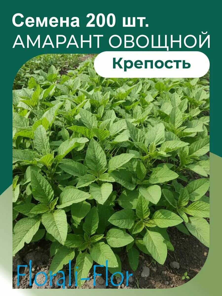 Амарант Овощной Семена