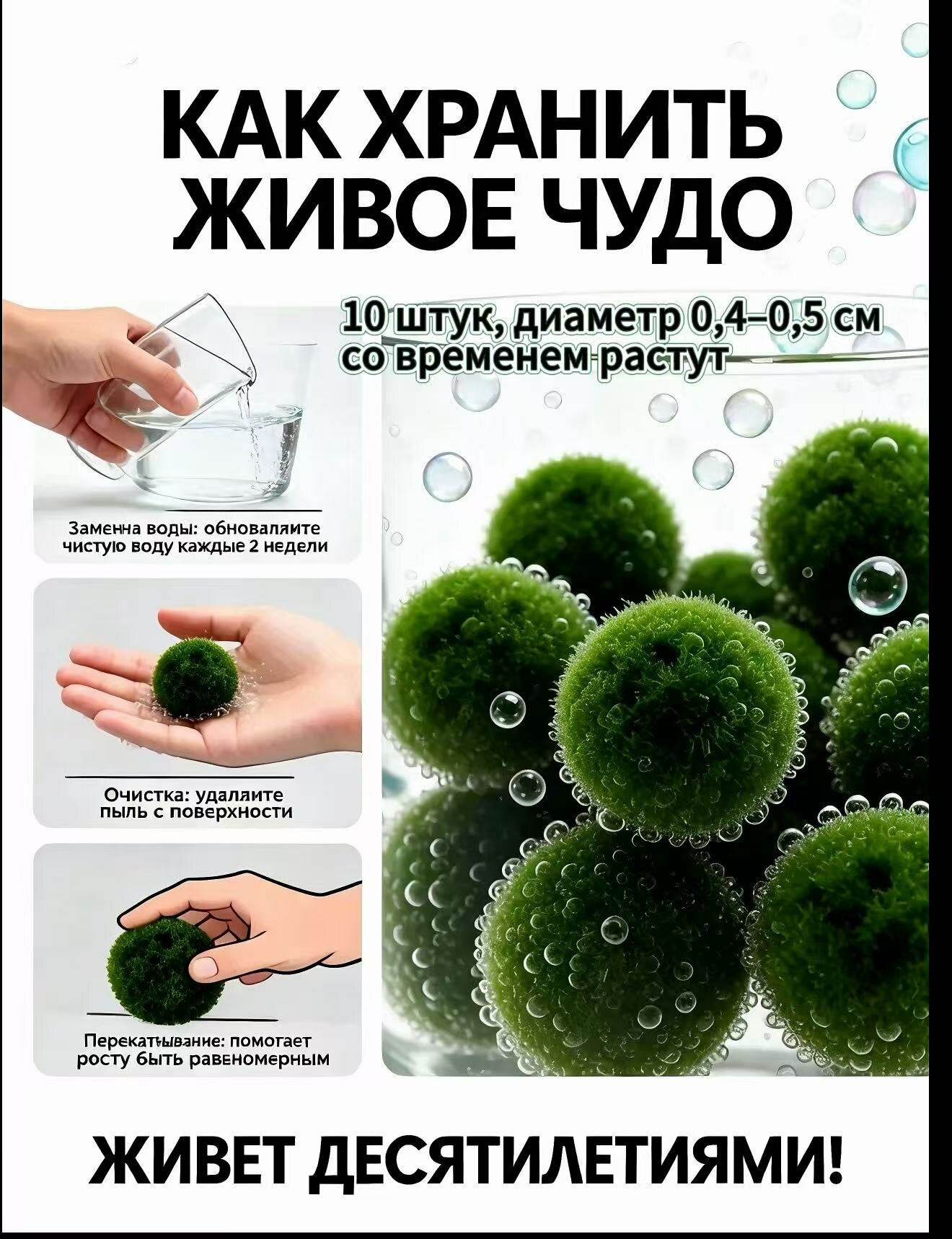 Маримо шарики живые, 10 шт, аквариумное растение-водоросль, неприхотливый питомец для мини-аквариума, символ удачи