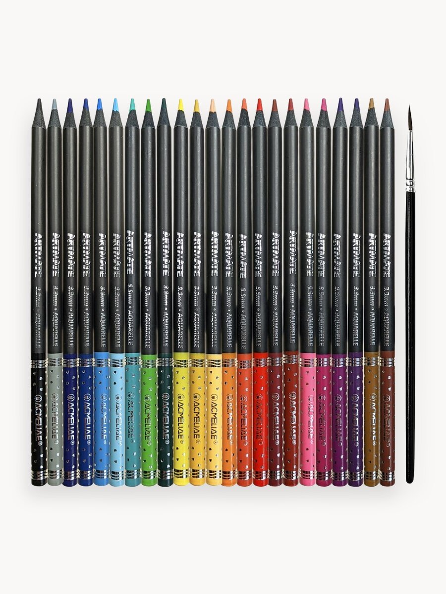 Набор акварельных цветных карандашей ACMELIAE Blackwood 24цв.+кисточка, металл футляр