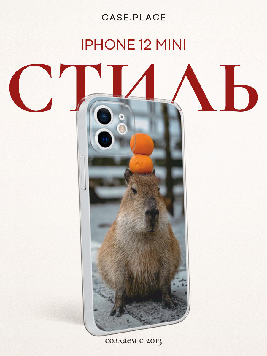 Чехол на Apple iPhone 12 Mini / Айфон 12 mini с принтом Капибара медитирует