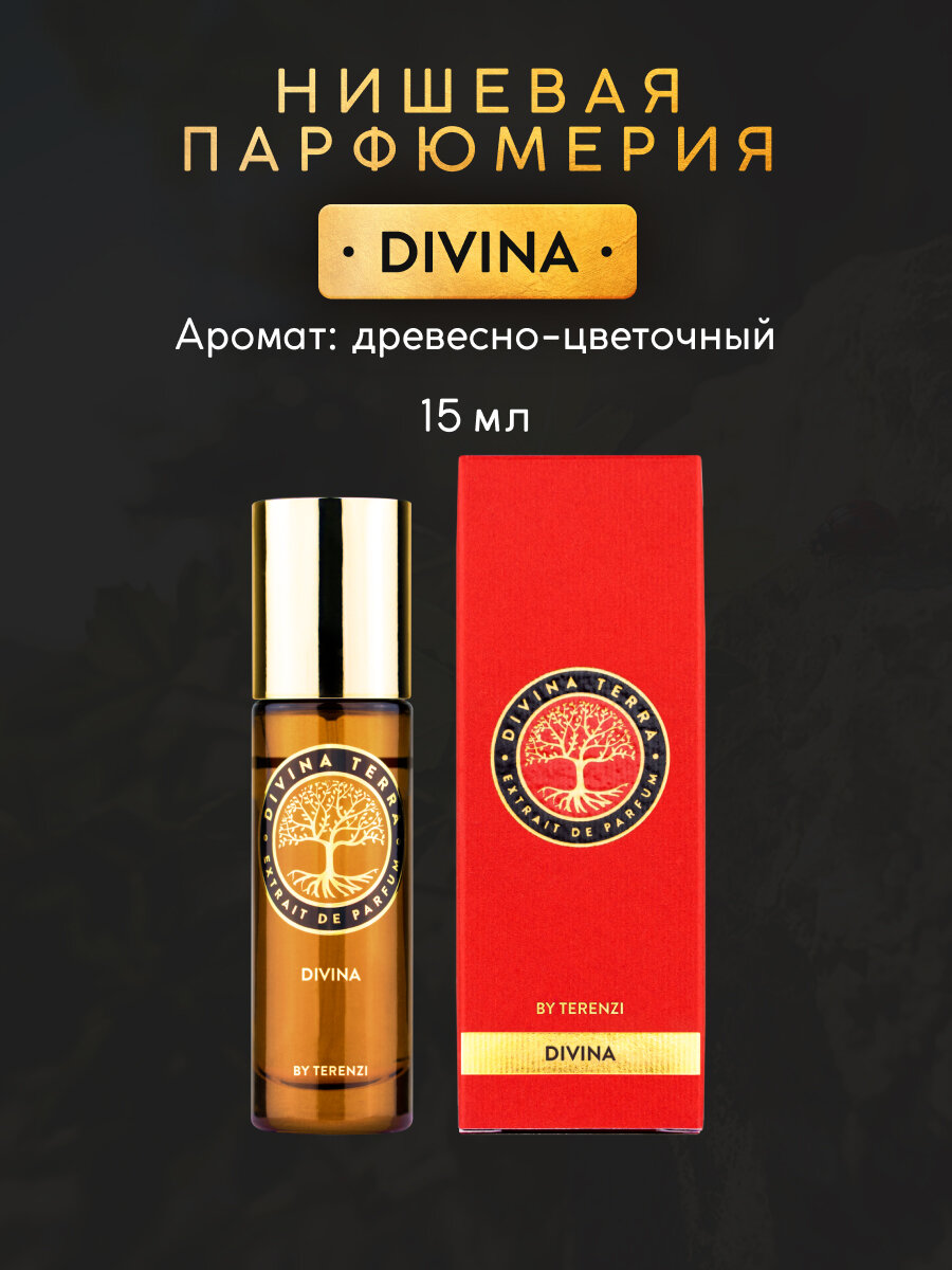 Духи DiVina стойкие древесные оригинальные, Италия, нишевая селективная парфюмерия для мужчин и женщин