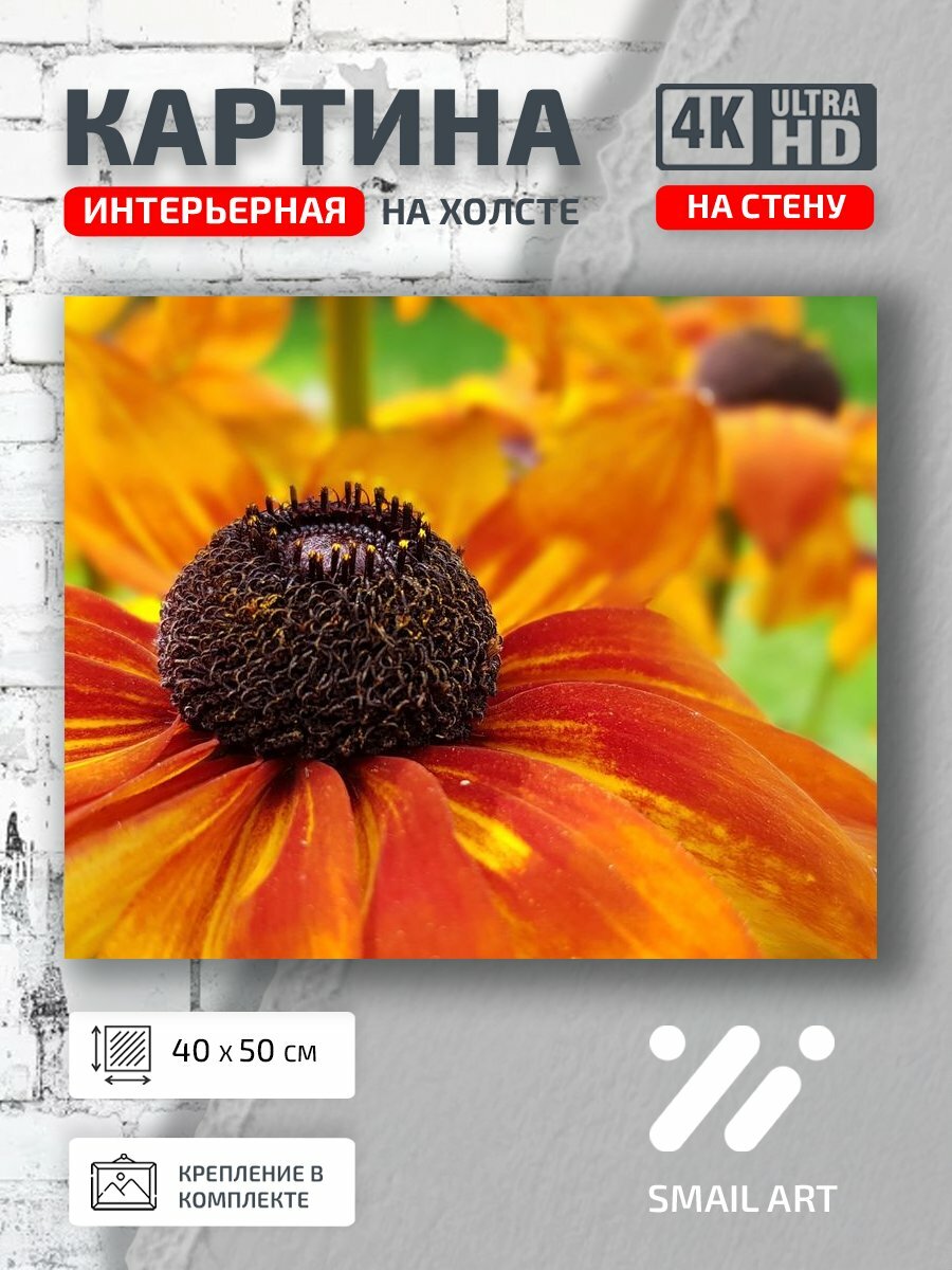 Картина на холсте интерьерная 40 на 50 на стену Красный Macro для офиса макро интерьер