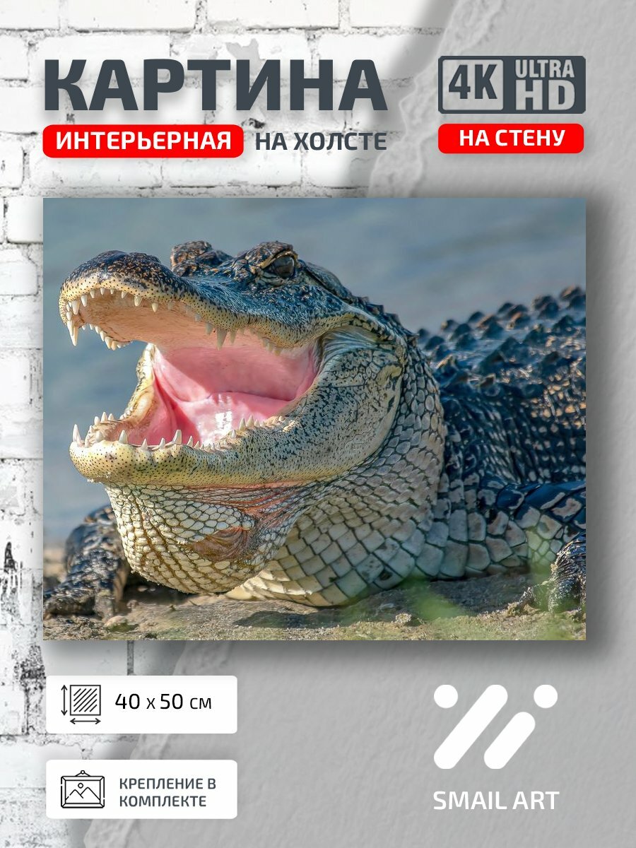 Картина на холсте интерьерная 40 на 50 на стену Пасть Macro для спальни макро интерьер