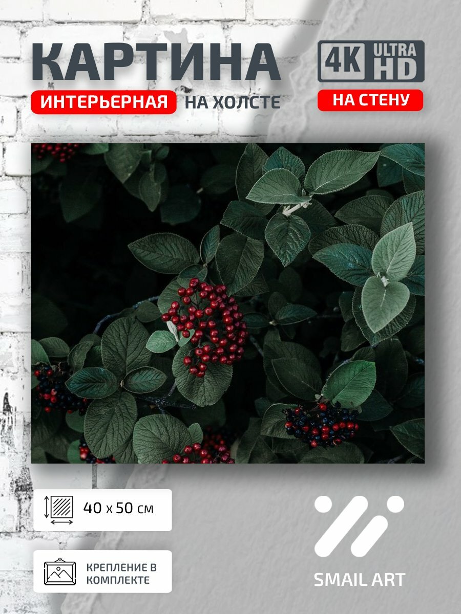 Картина на холсте интерьерная 40 на 50 на стену Ветка Landscape для кабинета пейзаж декор