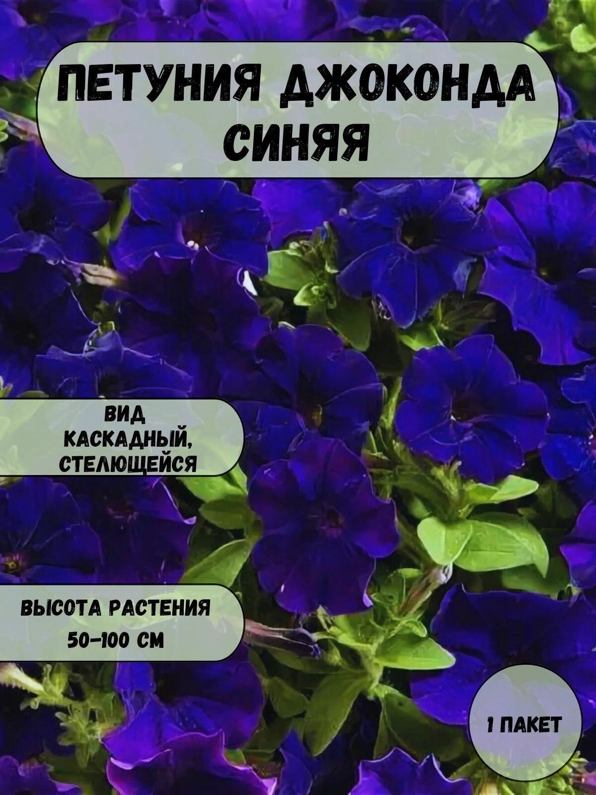 Петуния Джоконда Синяя семена 10 шт