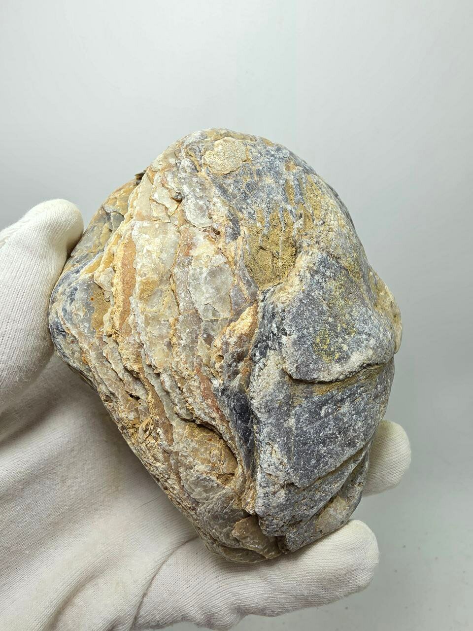 Окаменелая устрица Gryphaea, 111 мм, 527 г.