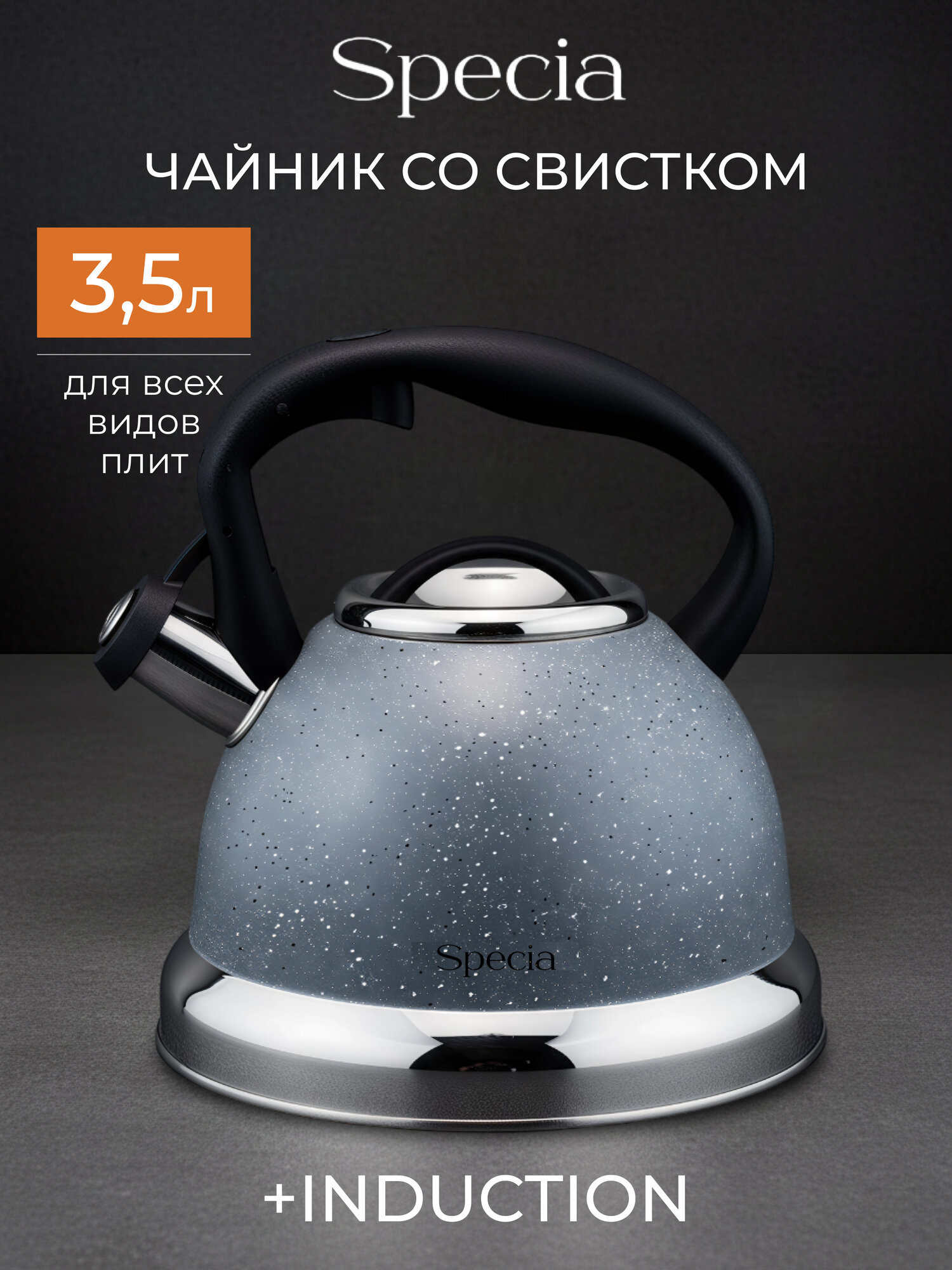Чайник для плиты 3,5 л, Specia, со свистком, нержавеющая сталь, для всех типов плит