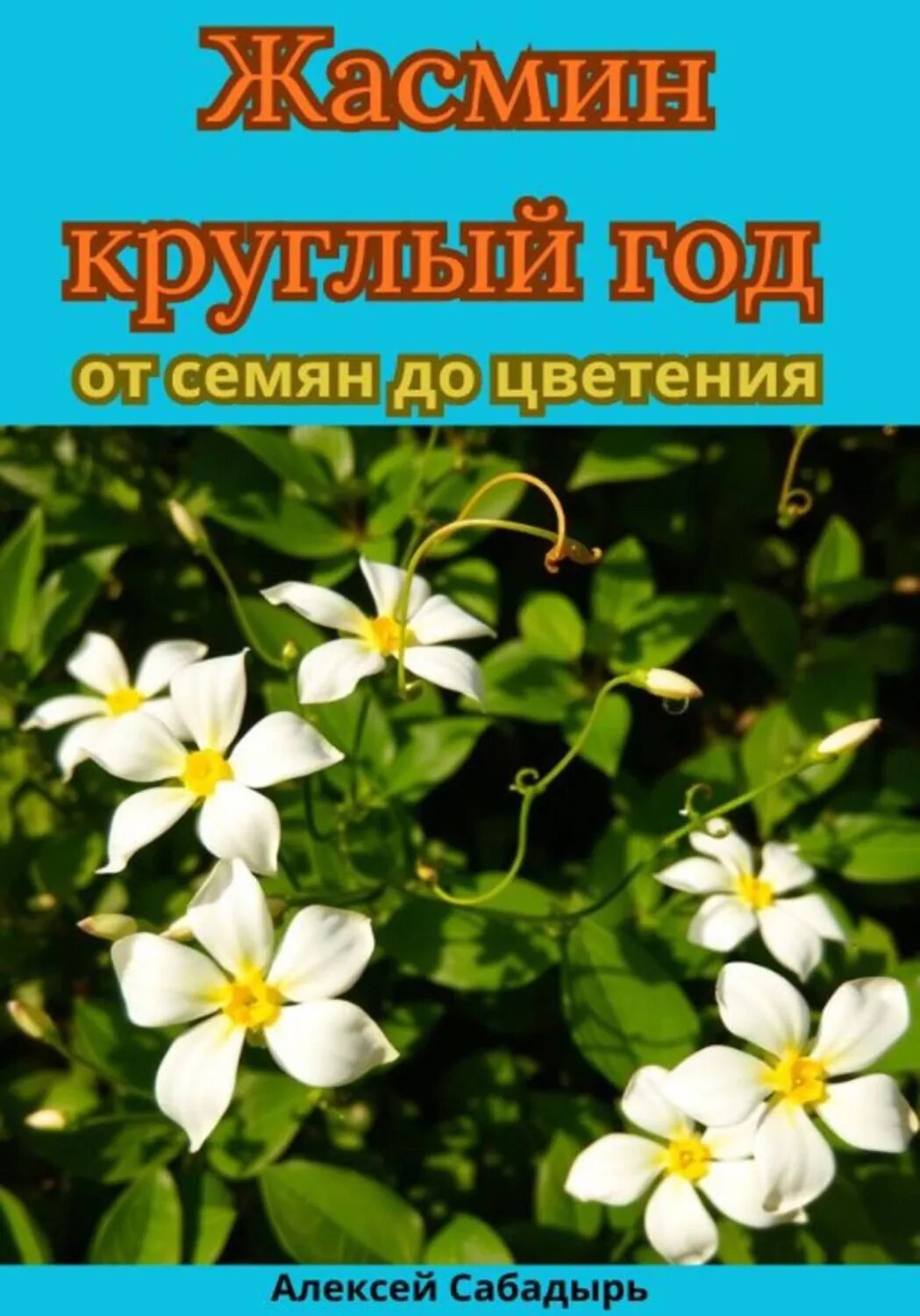 Жасмин круглый год от семян до цветения [Цифровая книга]