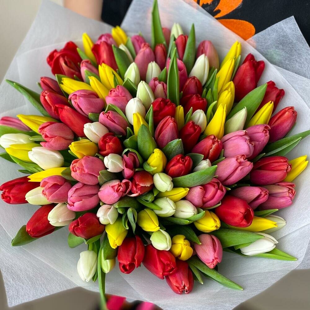 Живые цветы букет из 55 разноцветных тюльпанов яркий микс в подарочной упаковке