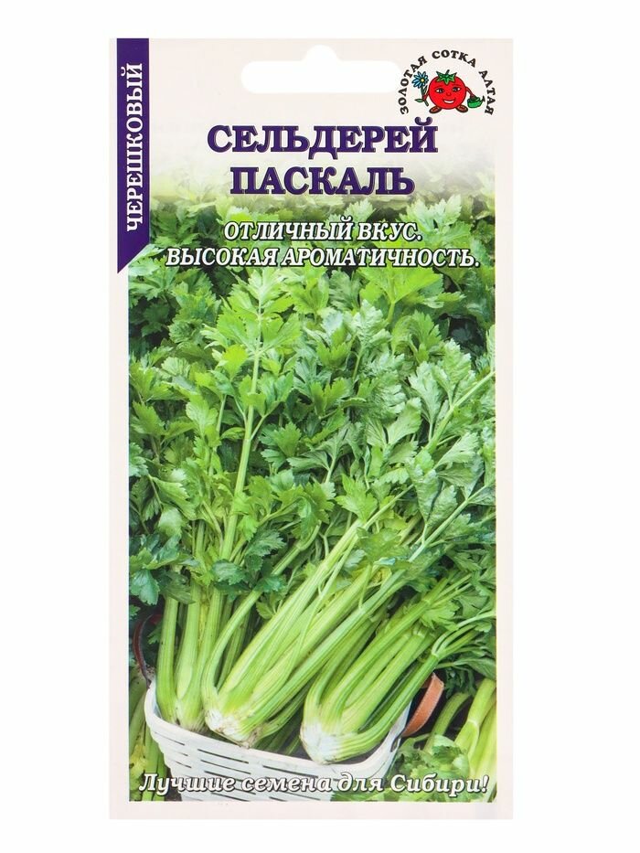 Семена Сельдерей черешковый Паскаль , 0.5 г, холодоустойчивый, Золотая Сотка Алтая