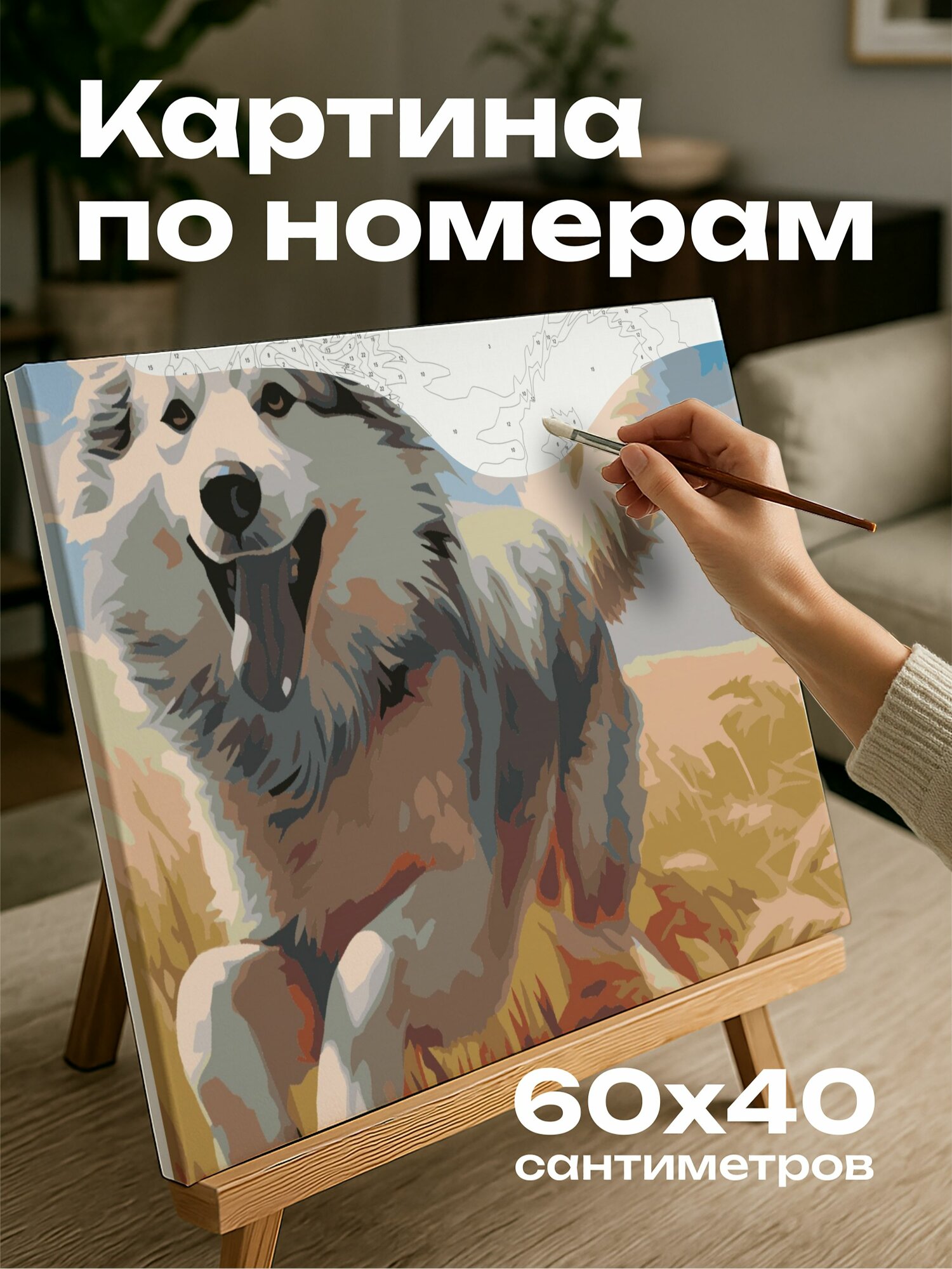 Картина по номерам 60x40 см, хаски, движение, бег, поле, золотистая пшеница, мех, ветер, грация, сила