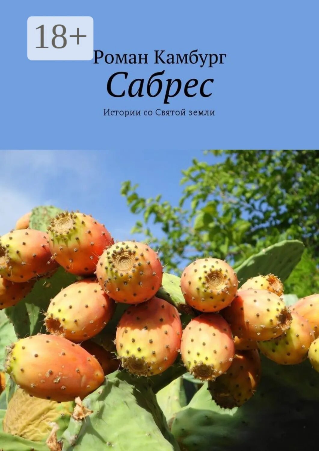 Сабрес. Истории со Святой земли [Цифровая книга]