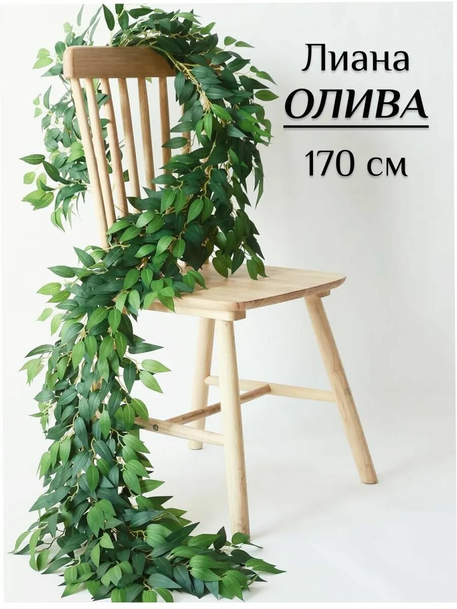 Эксклюзивный декор из оливковой лианы