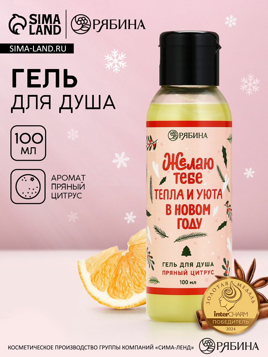Гель для душа "Тепла и уюта в Новом году!", аромат пряного цитруса, 100 мл, 2 шт.