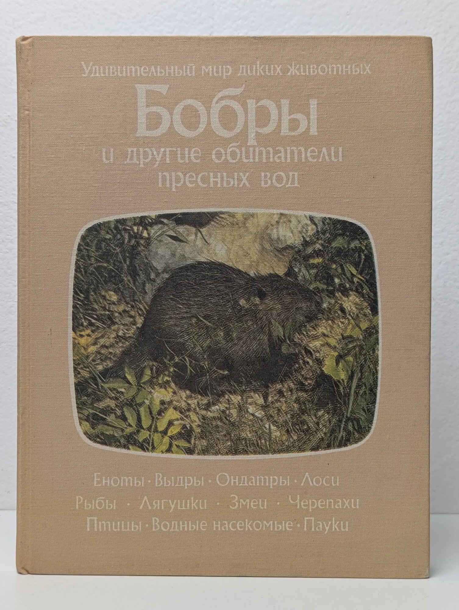 Удивительный мир диких животных. Бобры и другие обитатели пресных вод Тэннер Огден 1985