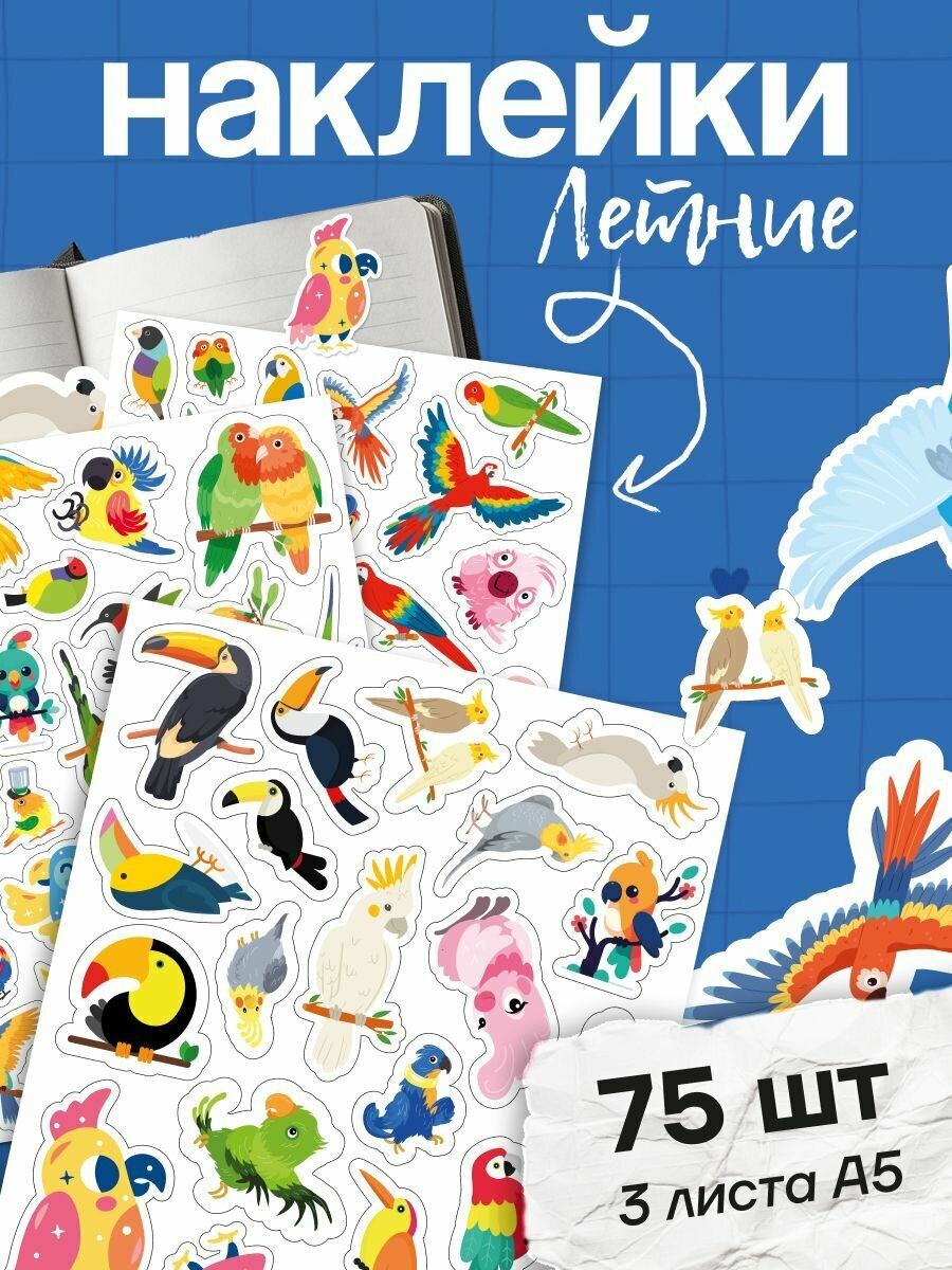 Наклейки попугаи, виниловые, для творчества, детские, 75 штук