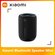 Xiaomi Bluetooth Speaker Mini, динамик