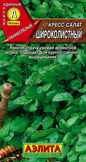 Кресс-салат Широколистный
