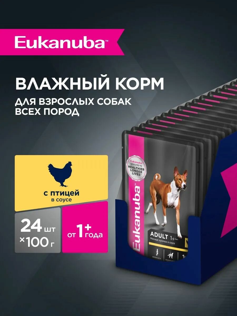 Влажный корм для собак Eukanuba Adult All Breed кусочки в соусе с птицей, 24 шт по 100 г