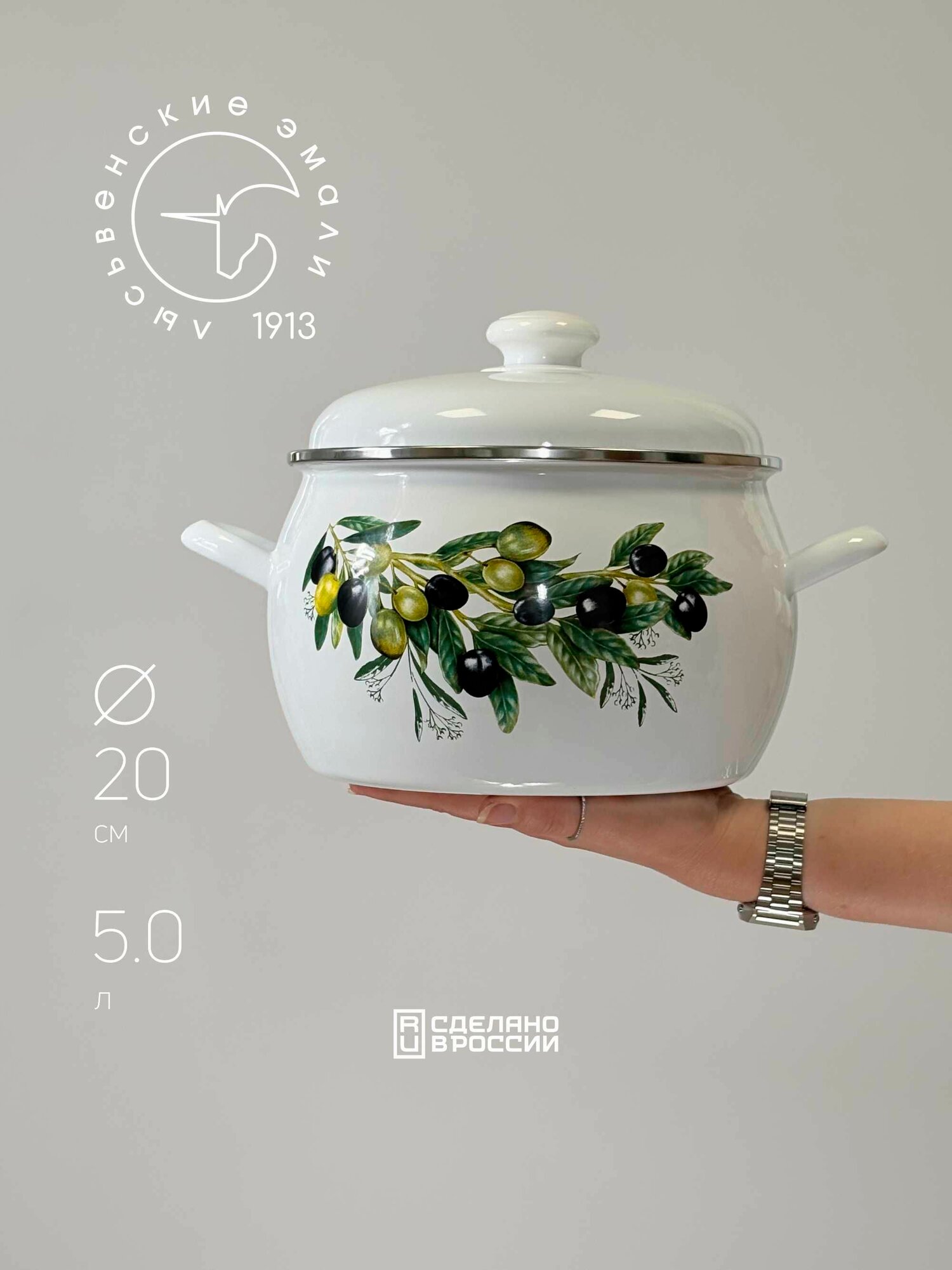 Кастрюля "Лысьвенские эмали" Оливковая ветвь, эмалированная сталь 5 литров