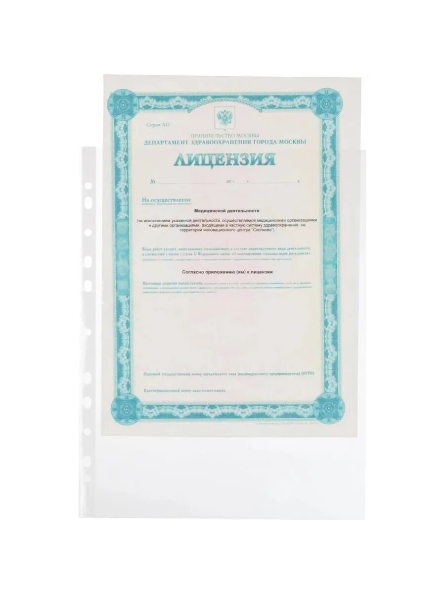 Профессиональные файлы-вкладыши для документов