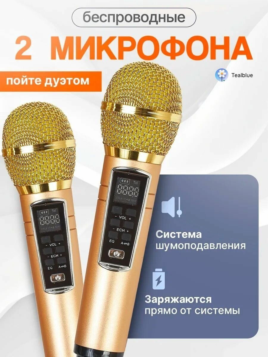 Караоке-система — фото 1