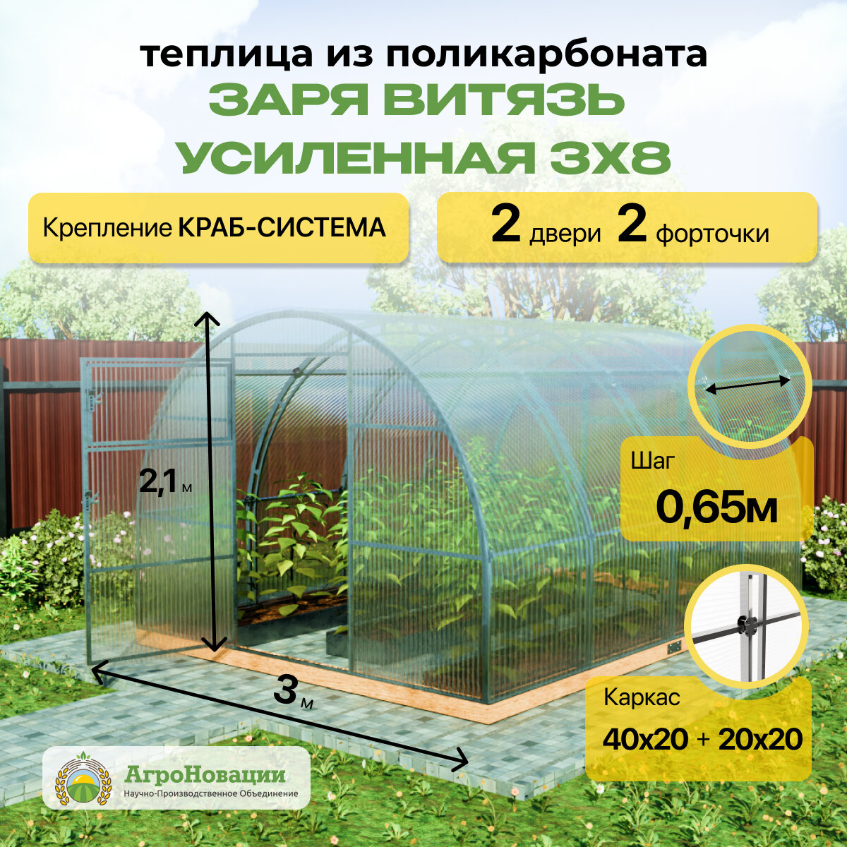Теплица "Витязь Усиленная" 3х8, шаг 0,65м, с поликарбонатом 4мм, цельные дуги 40х20+20х20, краб-система крепежа.