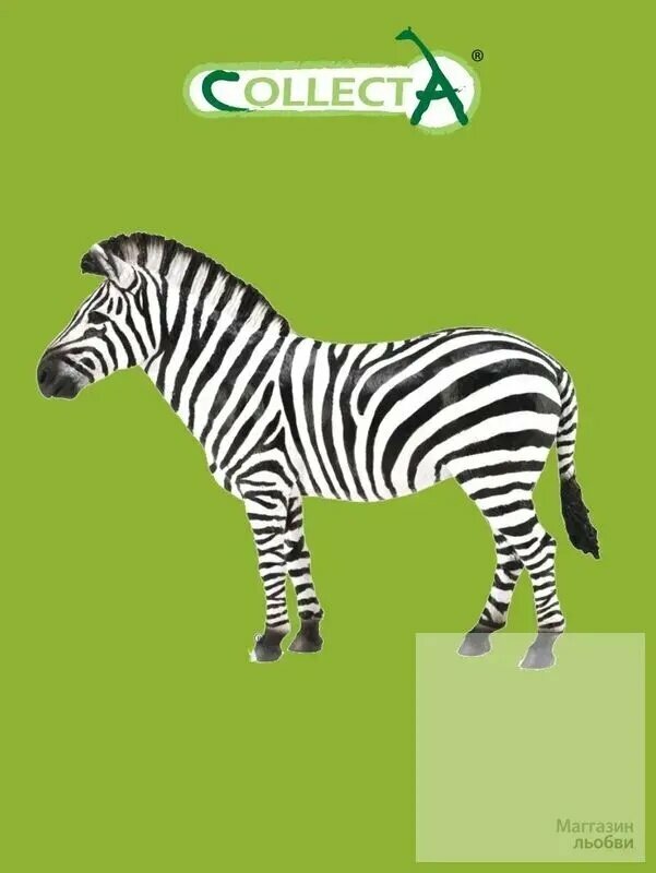 Фигурка Коллекта Зебра обыкновенная ,88830b