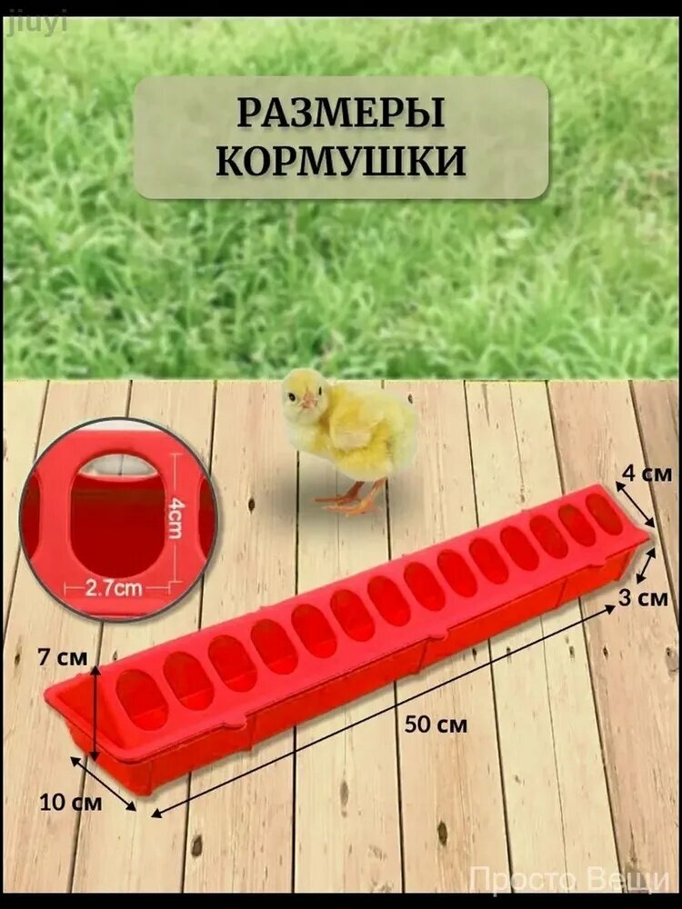 Лотковая кормушкаЛотковая кормушкаЛотковая кормушкаЛотковая кормушка — фото 1