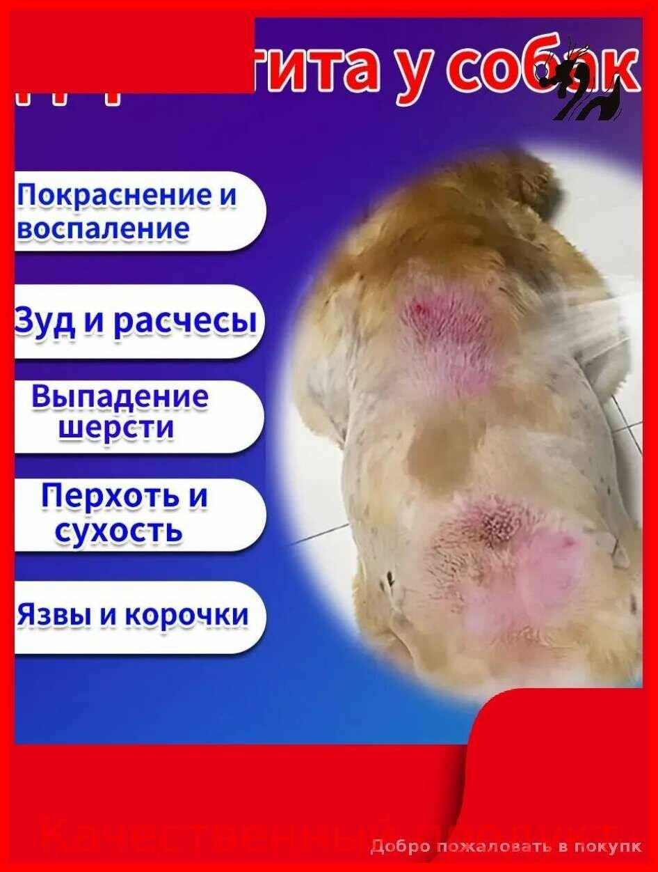 Эксклюзивный спрей 100 мл для собак против зуда, алопеции и эрозий при кожных патологиях2026