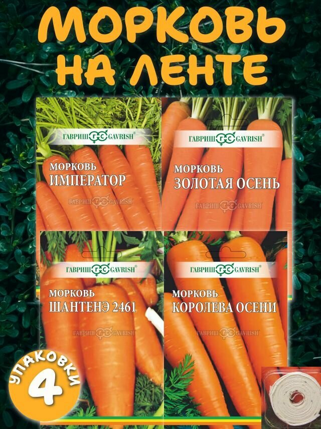 Семена моркови на ленте: "Золотая осень, Император, Шантенэ, Королева осени"