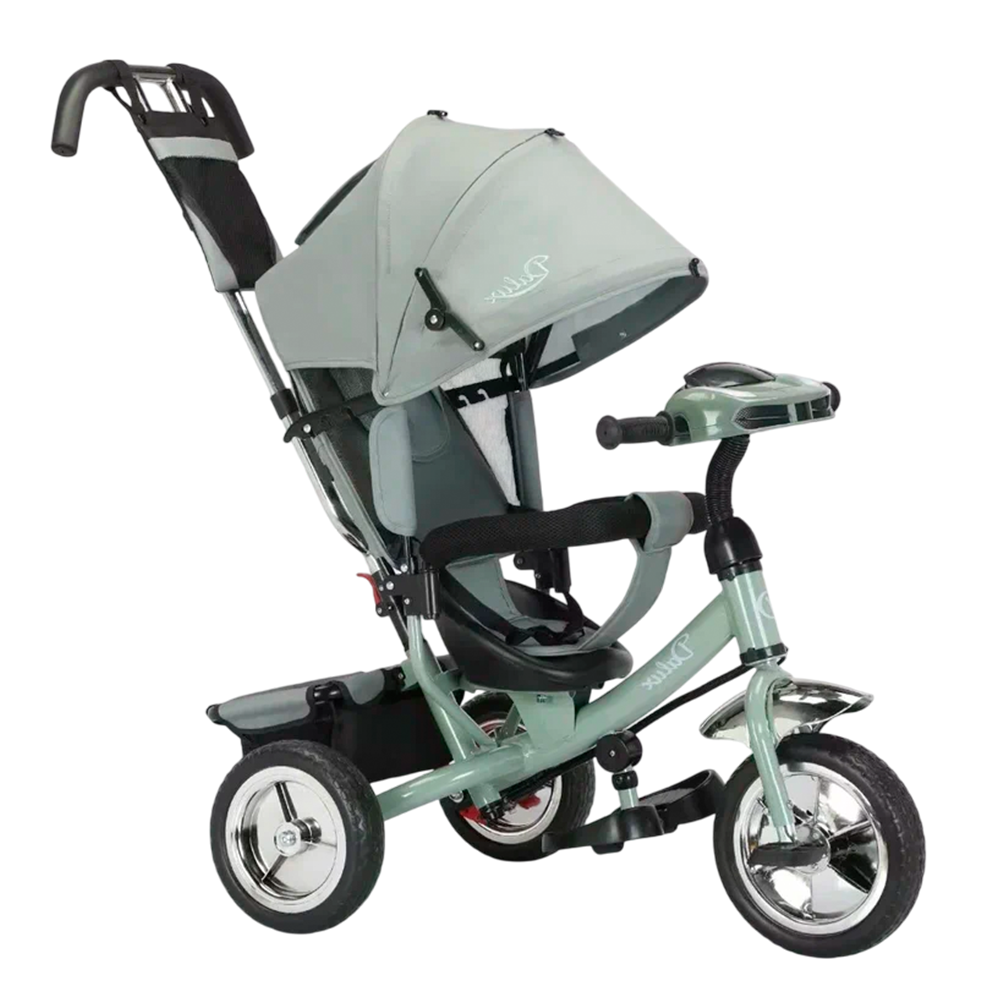 Детский трехколесный велосипед BREND LUXMOM DALUX ORIGINAL 3322, цвет зеленый
