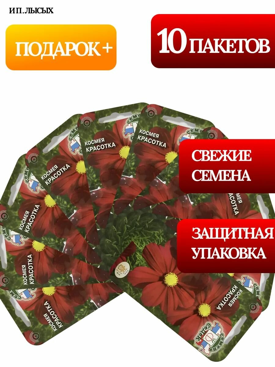 Семена Космея "Красотка"