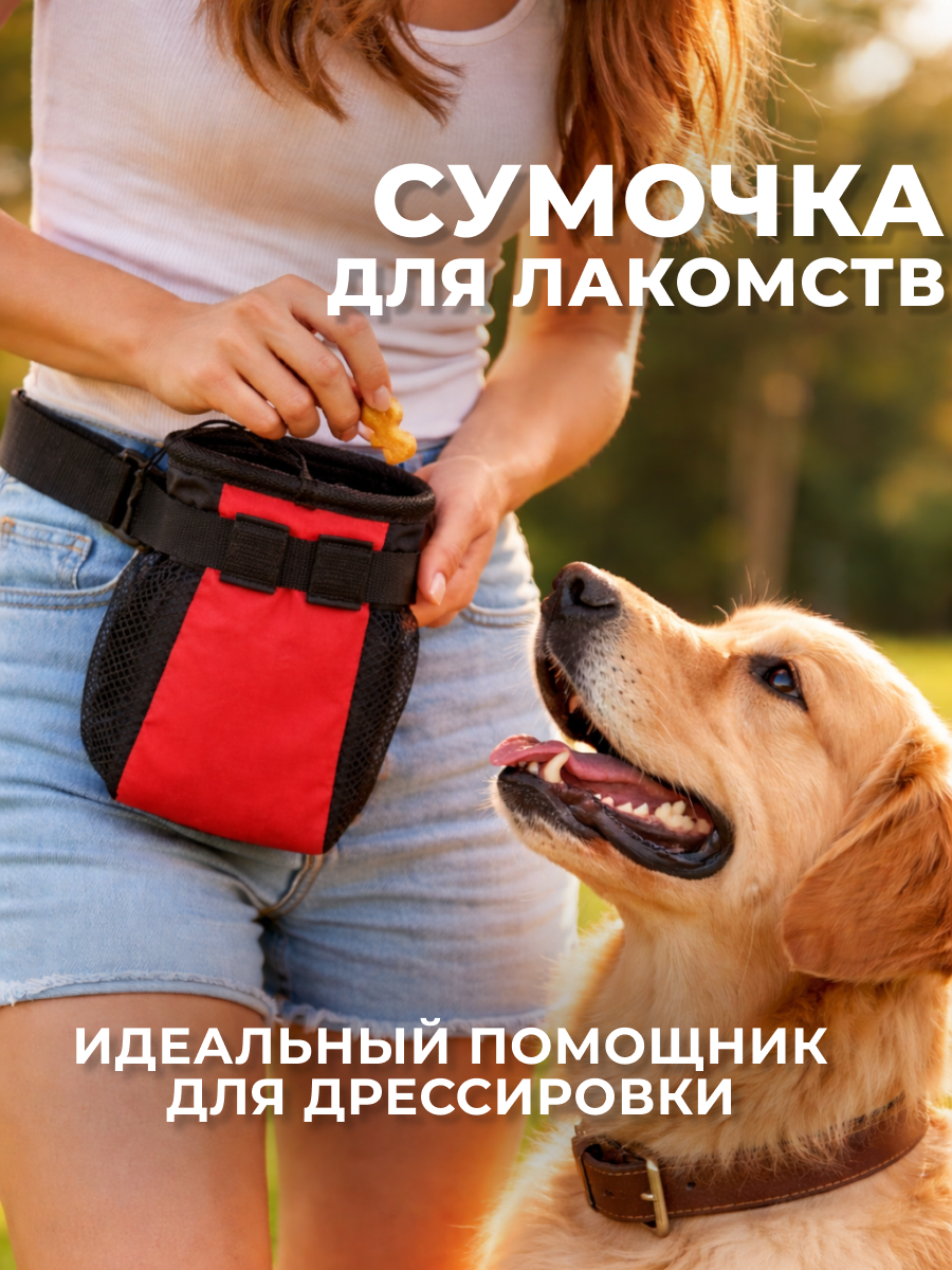 Дрессировочная сумка для лакомств "Красная", для собак, 2 кармана, ПВХ, красная