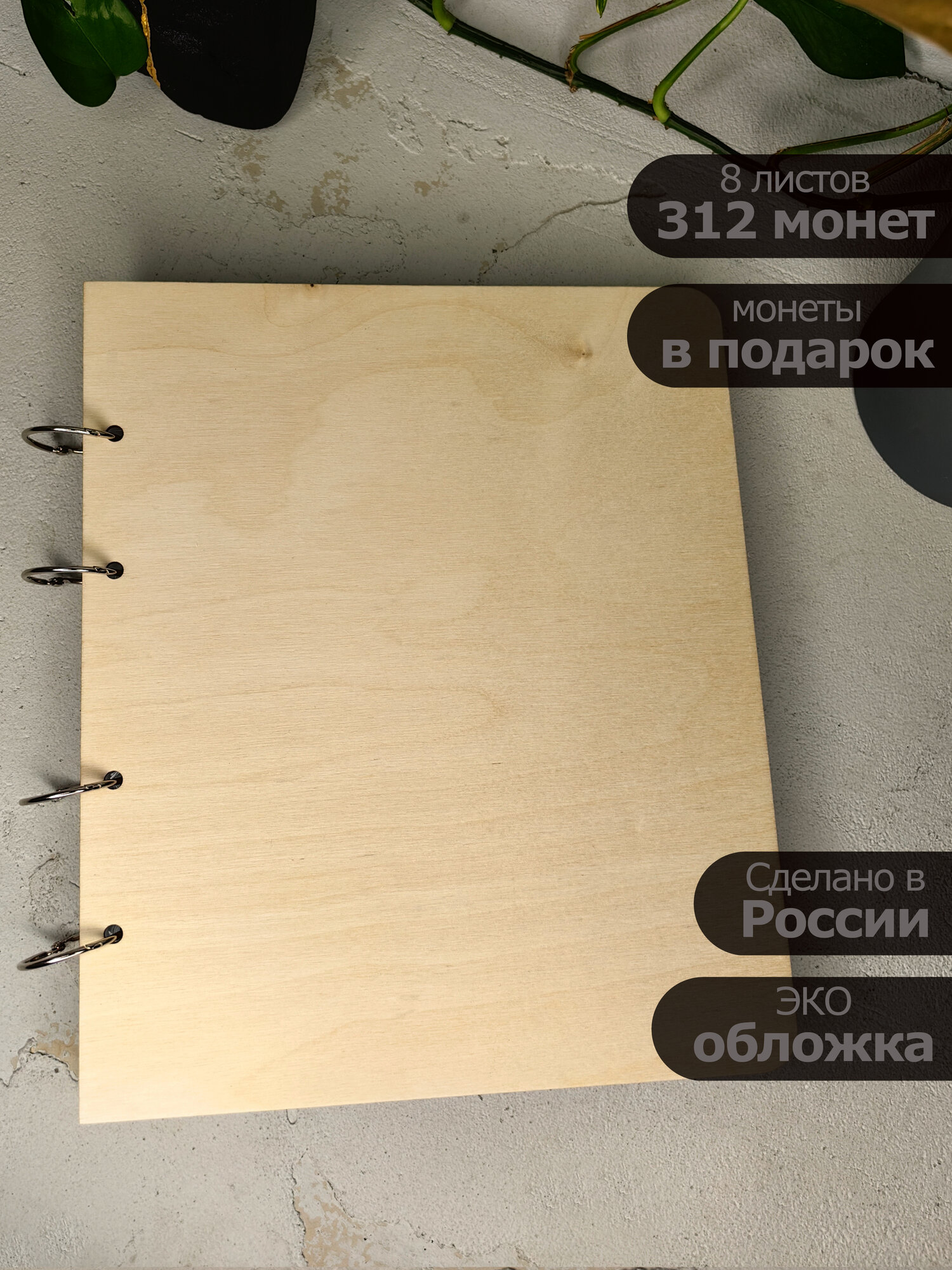 Альбом для монет на кольцах, формат оптима, Abstone