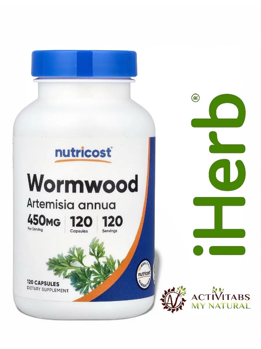 Wormwood Capsules 450mg 120 Capsules - Vegetarian Caps