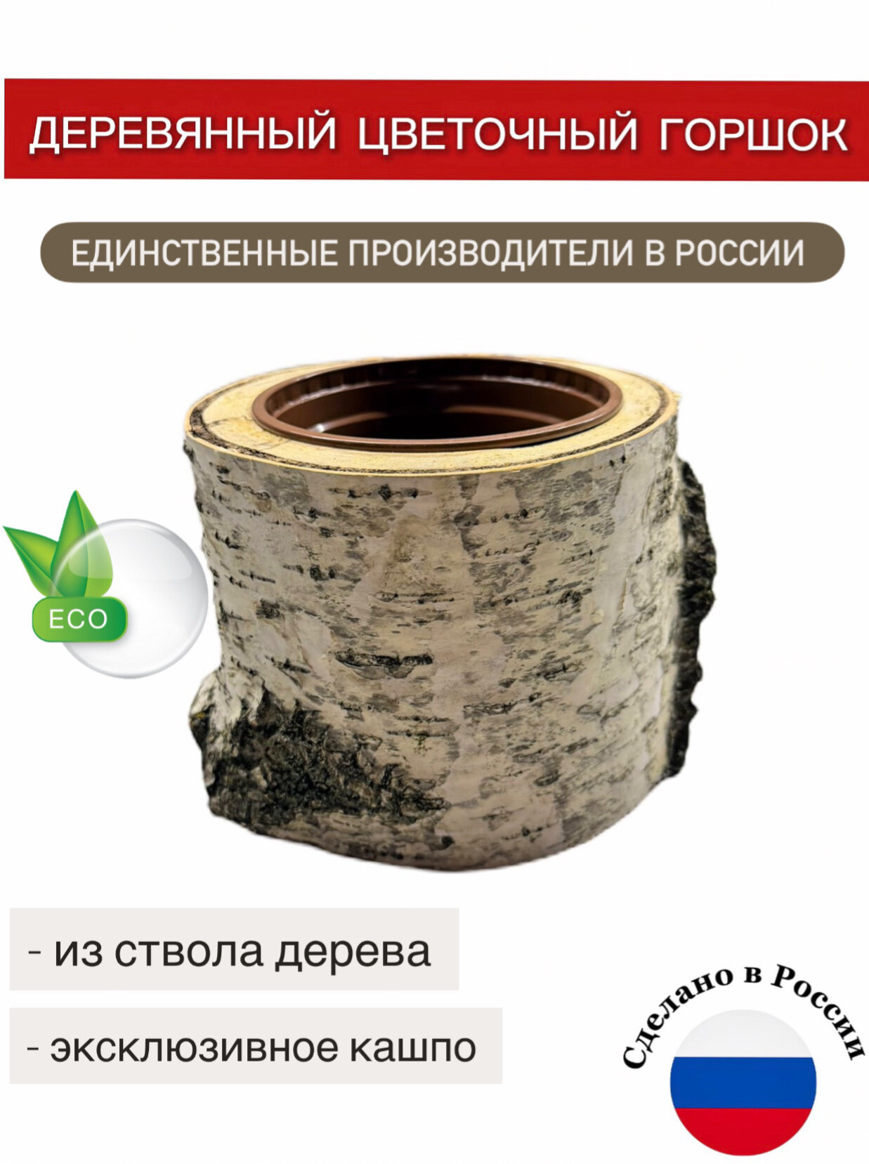 Кашпо-горшок из натурального среза части ствола дерева берëзы.