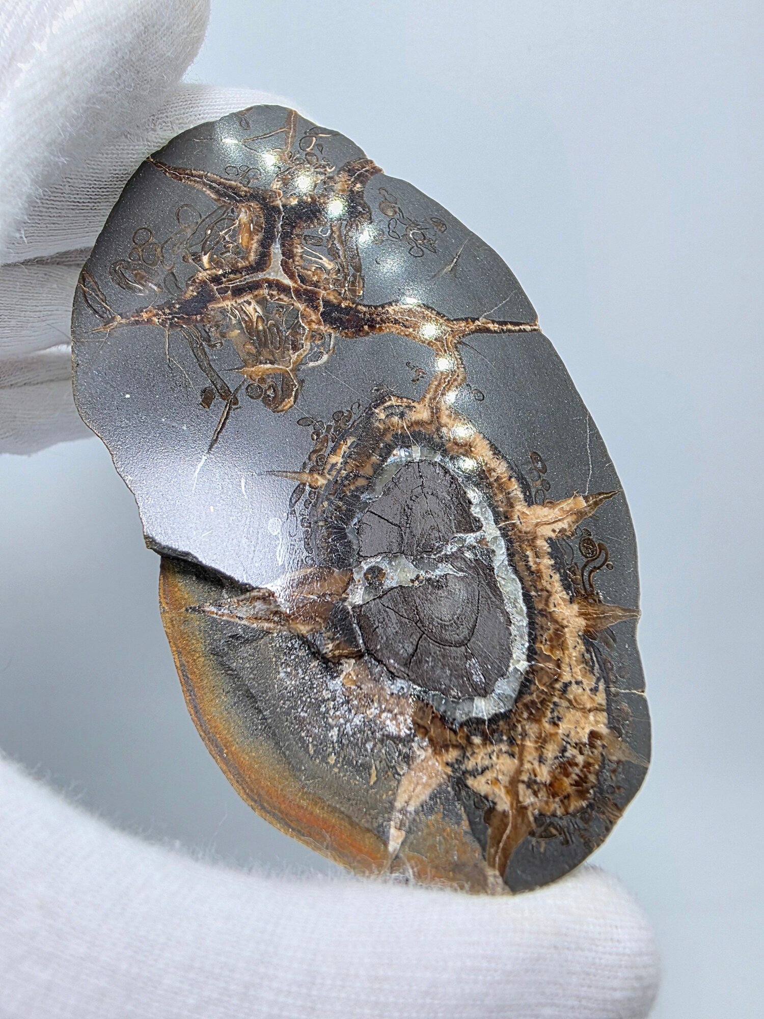 Септария (полированная) 98 мм, 144 г.