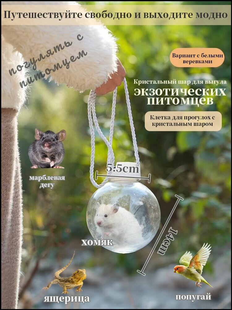Клетка для маленьких домашних животных, прозрачная клетка