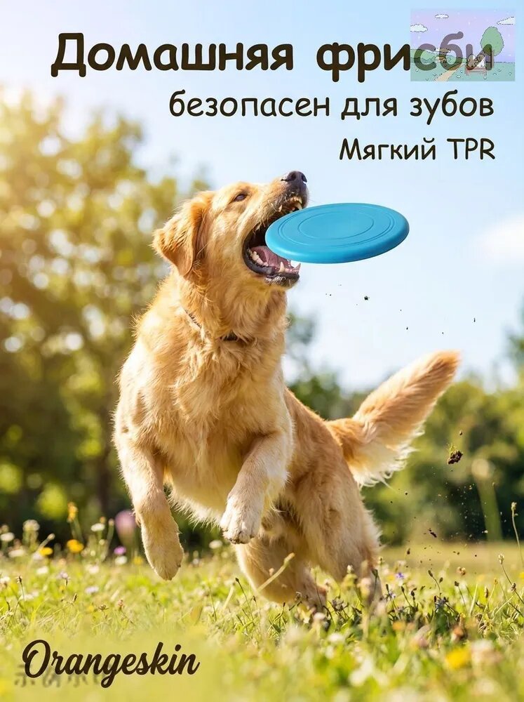 Фрисби