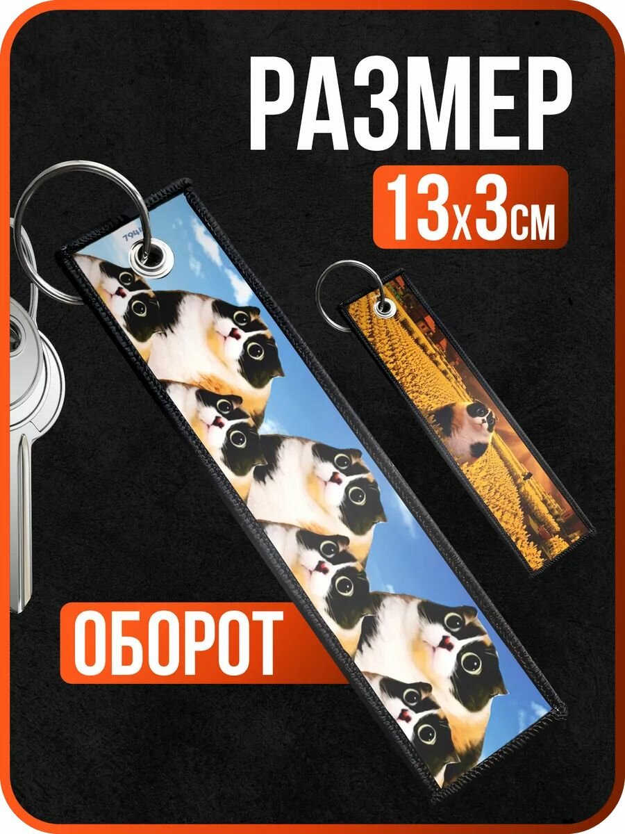 Брелок ремувка Котость мем — фото 1